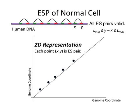 CSCI2950 C Lecture 9 Cancer Genomics Ppt Download