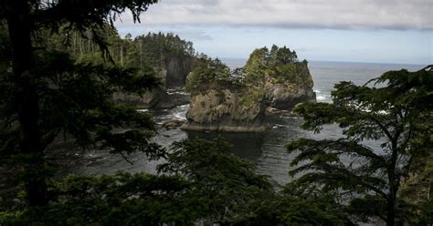 Northwest Treaty Tribes On Linkedin Wa Tribes Get 32m To Adapt To