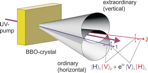 Quantum Memory For Long Distance And Multiphoton Entanglement