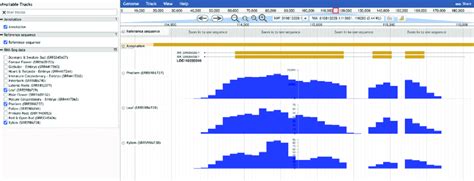 Genome Browser View Of Loc112033310 Structural Annotation Rna Seq Data