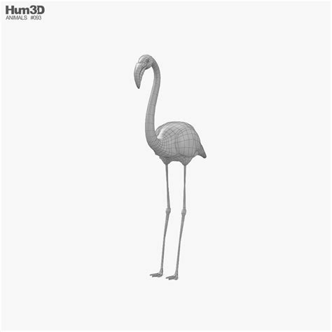 Flamingo Low Poly Rigged Animated 3d модель Скачать Животные на