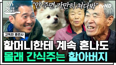 행운이가 사료를 안 먹어 고민인 할머니 알고 보니 할아버지가 몰래 챙겨주는 간식 때문이다 고독한훈련사 갓구운클립