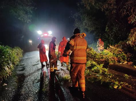 Árvore cai e bloqueia parcialmente rodovia estadual em Sergipe Sergipe G