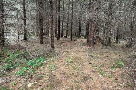 964 Salmon Creek Rd Mossyrock Wa 98564 Redfin