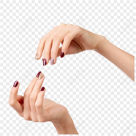 여성 매니큐어 손 제스처 근접 촬영 Png 일러스트 무료 다운로드 Lovepik