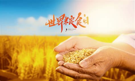 关注 和治友德：粮食安全宣传周——保障粮食供给 端牢中国饭碗国家国际全球