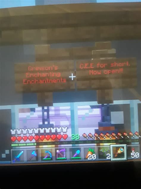 Glow Ink Sacs Not Working Properly Read My Comment R Minecraft