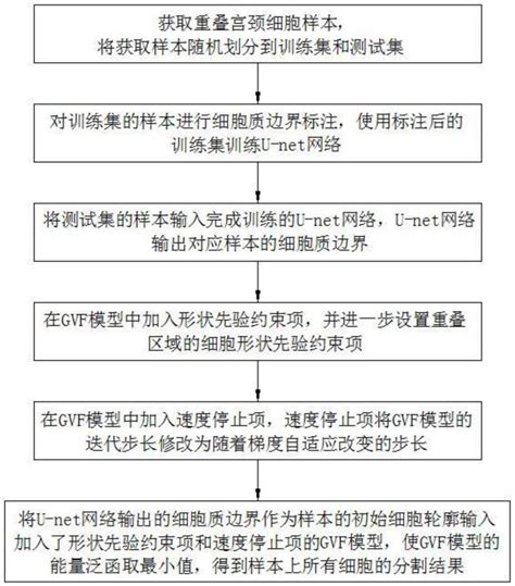一种基于形状先验的重叠宫颈细胞分割方法及模型与流程