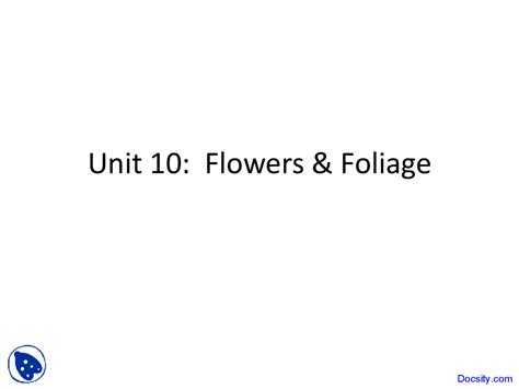 Flowers And Foliage Crop Production Lecture Slides Docsity