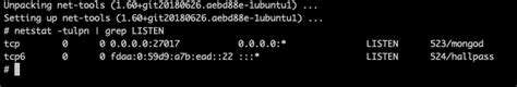 Unable To Connect To MongoDB Instance Questions Help Fly Io