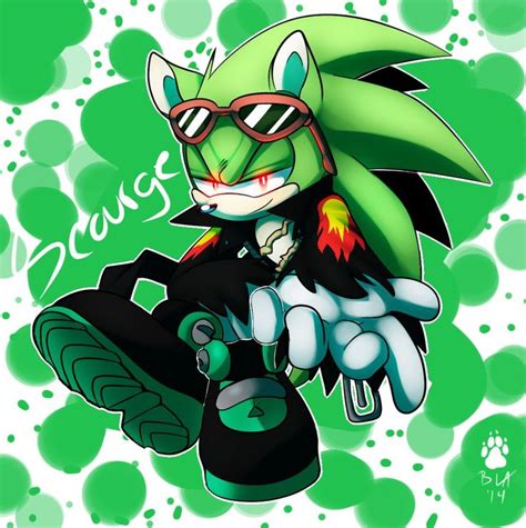 25 Best Scourge The Hedgehog Images On Pinterest Hedgehog Hedgehogs