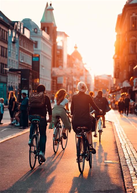 Ofte Stillede Spørgsmål Bekey