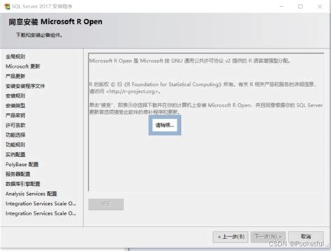 sql server的安装过程 针对外部数据的polybase查询服务要选吗 csdn博客