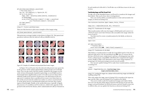 Deep Learning Crash Course No Starch Press