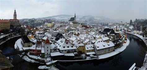 2024 Workshop On Genomics Cesky Krumlov Evolution And Genomics