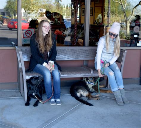 Dog Obedience Classes And Dog Training Phoenix Az Dog Sports