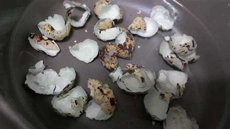 메추리알 장조림 만들기할때 계란 껍질 쉽게 벗기는 방법 이용해보세요~ 네이버 블로그