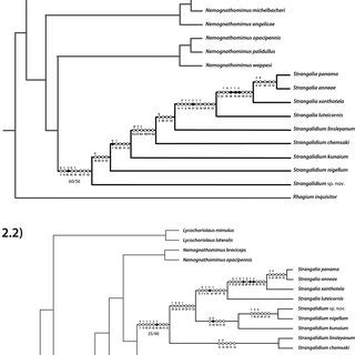 Single Most Parsimonious Trees From 2 1 Implied Weighting And 2 2
