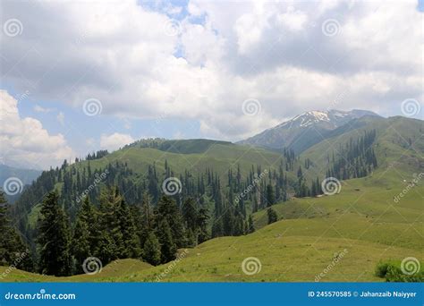 Siri Paye Meadows In Northern Pakistan Stock Image Image Of Siri