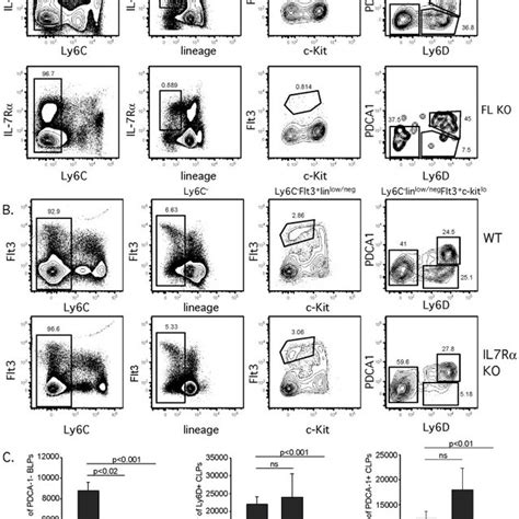 A Flow Cytometry Analysis Was Used To Examine Clp Populations From
