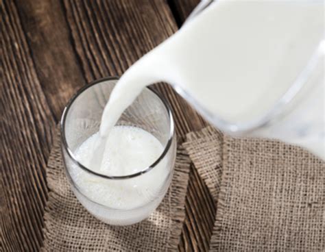 Milchprodukte Gropper