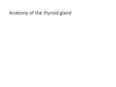 Thyroid Anatomy Copy Pptx