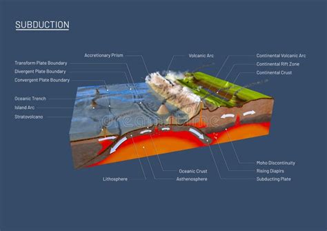 Corte Transversal De Tierra Científico Para Explicar La Subducción Y La