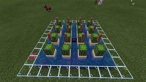 Cactus Farm Minecraft