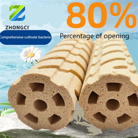 China Customized Spiral Lotus Root Bacteria House Manufacturers Factory Low Price
