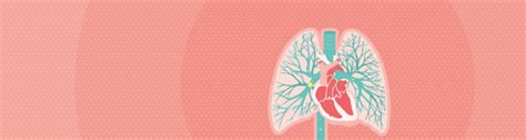 Nature Reviews Disease Primers