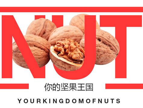 坚果电商网页设计小小琦 站酷zcool