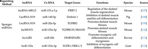 Lnc Rnas In The Regulation Of Skeletal Muscle Development Download Scientific Diagram