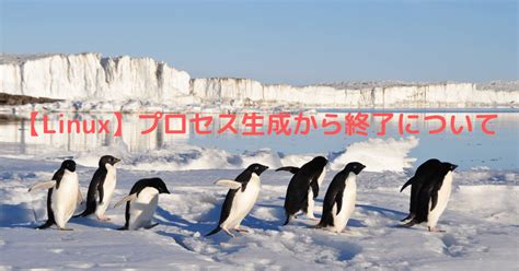 Linux