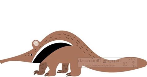 Anteater Clipart Brown Anteater Line Art Vector Clipart