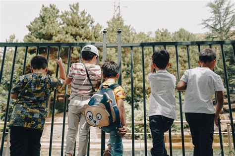 مدرسه پسرانه سریر راستی دبستان پسرانه در شمال تهران مدرسه سلاله