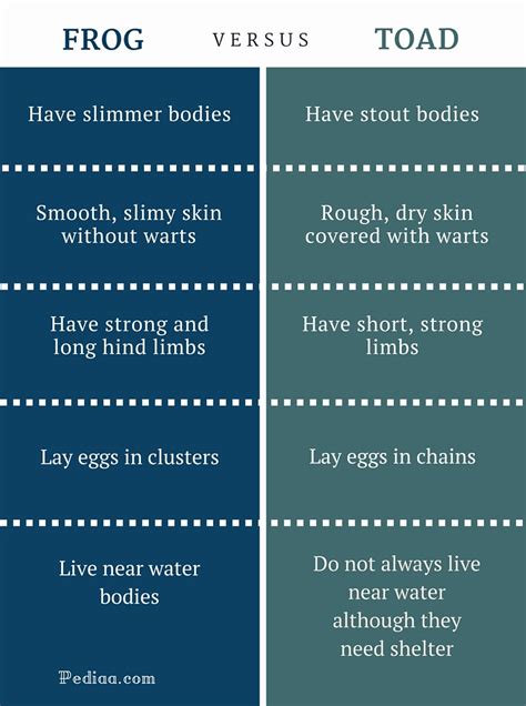 Difference Between Frog And Toad