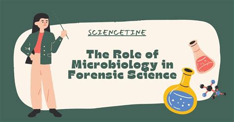 The Role Of Microbiology In Forensic Science Unveiling The Power Of