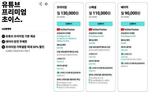 유튜브 프리미엄 요금제의 문제점 및 개선 방안