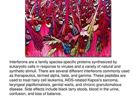 Chapter 12 The Lymphatic System And Body Defenses Ppt Download