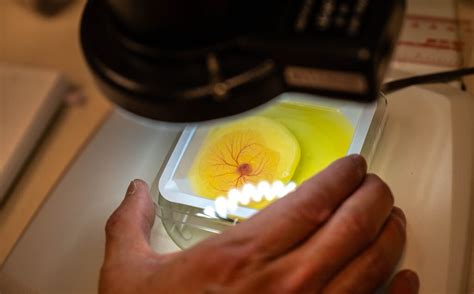 UBC News News From The University Of British Columbia