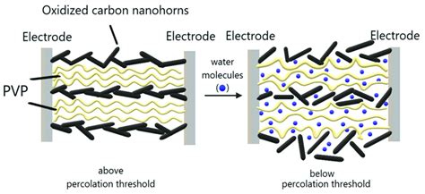 Swelling Of Hydrophilic CNHox PVP Nanohybrid Around The Electrical