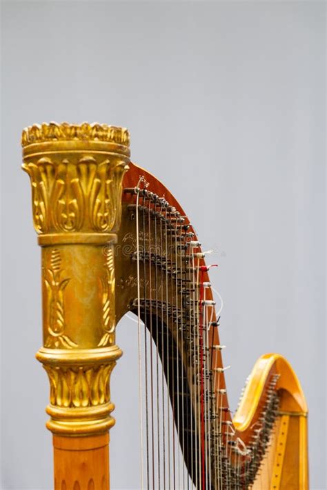 Harp In The Concert Hall Stock Image Image Of Instrument 294427229