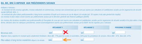C Pro Comment Remplir Cette D Claration En