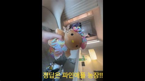 산리오 모음집 ️ 귀여움주의 Youtube