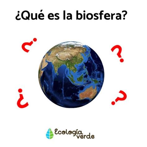 Taupotó Fodrász Agglegény cuales son las partes de la biosfera