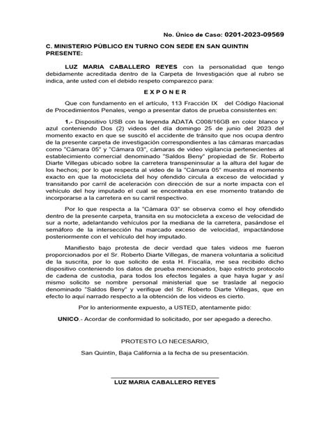 Ofrecimiento De Pruebas En Carpeta De Investigacion Pdf