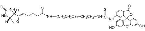 Biotin Peg Rhodamine B Cd Bioparticles