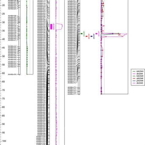 Qtls For Downy Mildew Resistance On Chinese Cabbage Linkage Groups A04 Download Scientific