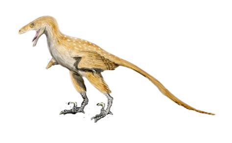 Bambiraptor Dinosaur World Mobile Concepts Wiki Fandom