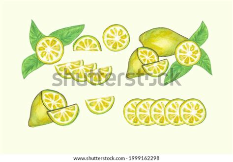 Whole Lemons Different Types Slicing Color Stock Illustration